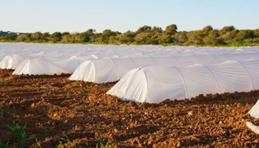 Centenary Geotex Pvt. Ltd