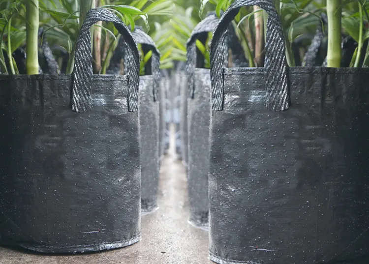 Centenary Geotex Pvt. Ltd